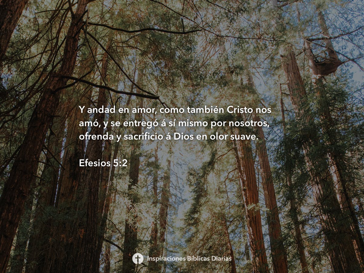Efesios 5:2 - Inspiraciones Bíblicas Diarias