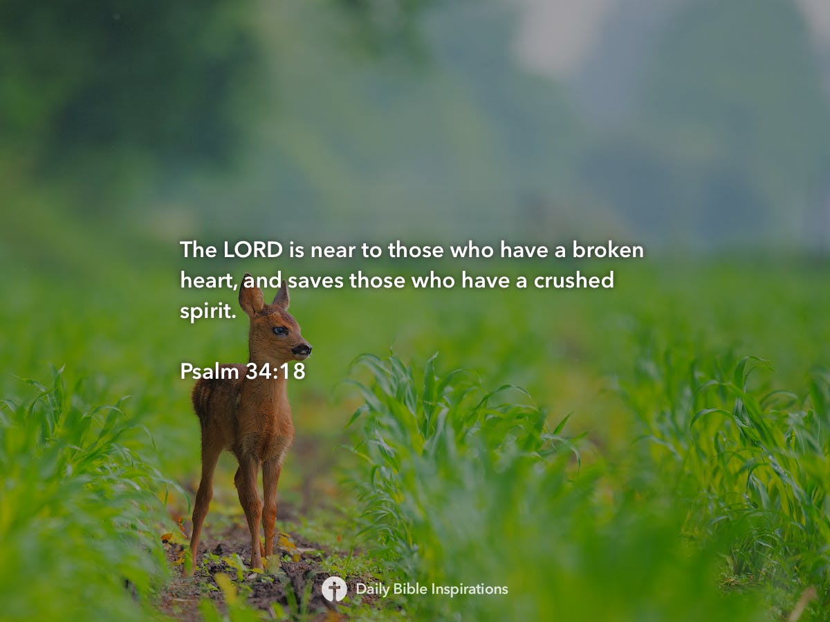 Psalm 34 18 Daily Bible Inspirations