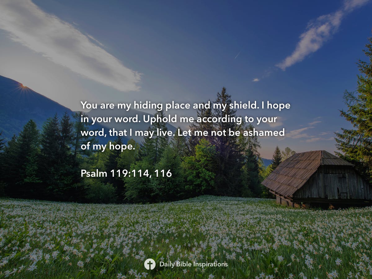 Psalm 119:114, 116 - Daily Bible Inspirations