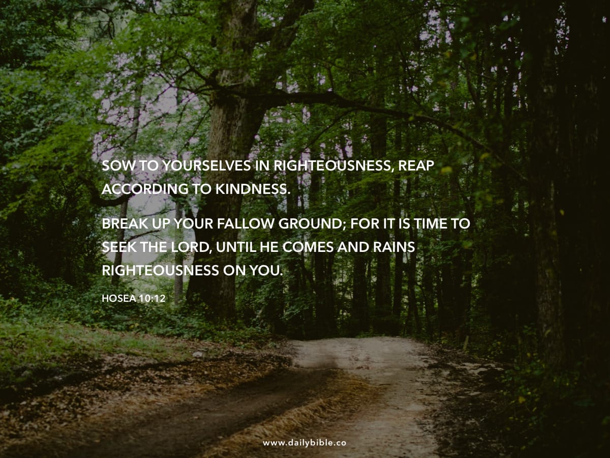 Hosea 10:12 - Daily Bible Inspirations