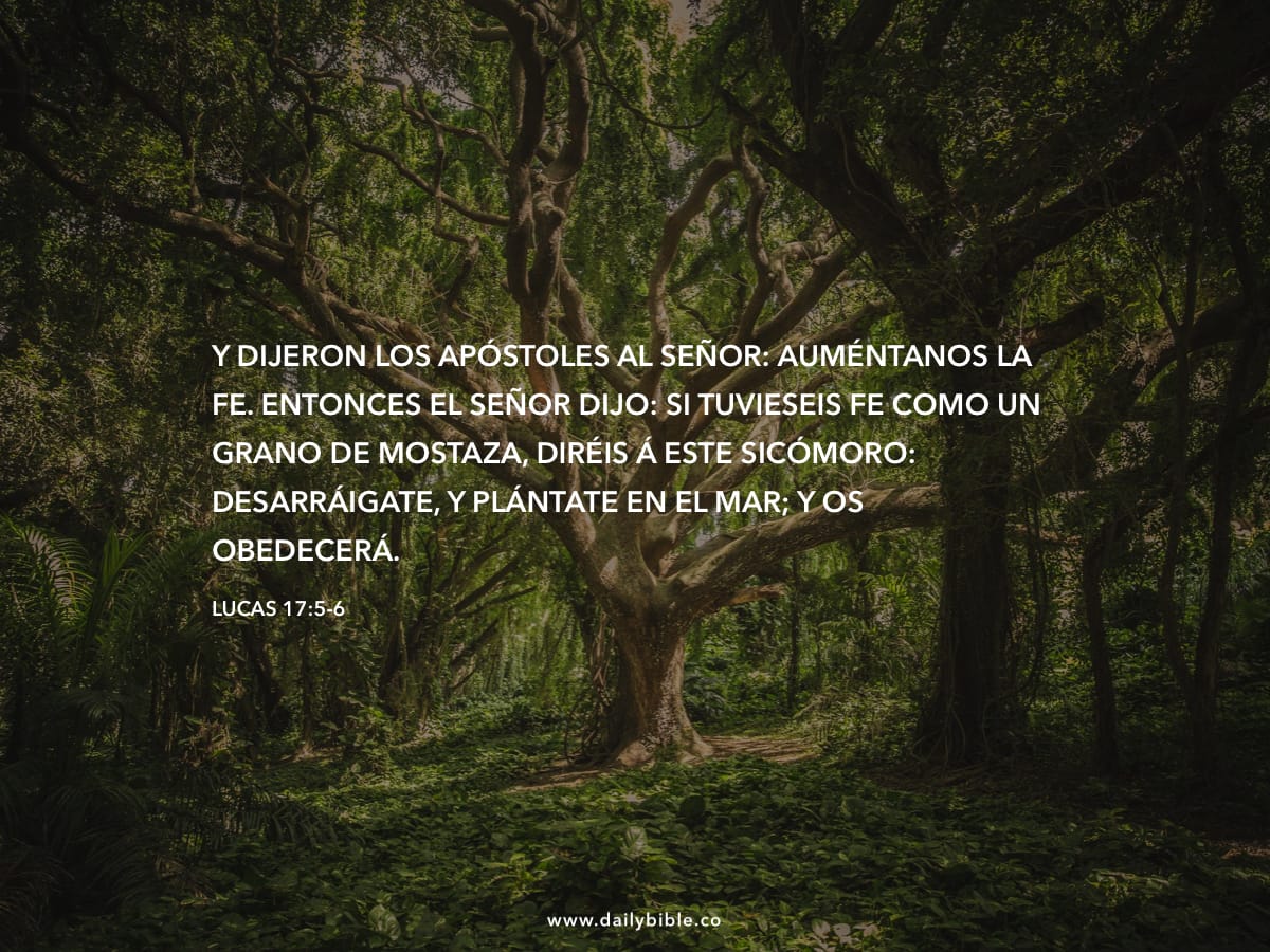 Lucas 17:5-6 - Inspiraciones Bíblicas Diarias