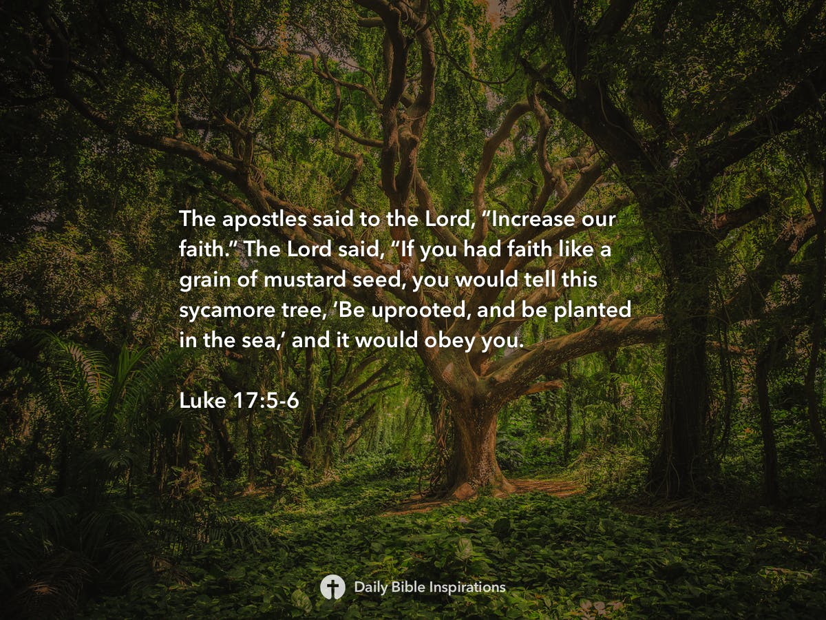Luke 17 5 6 Daily Bible Inspirations