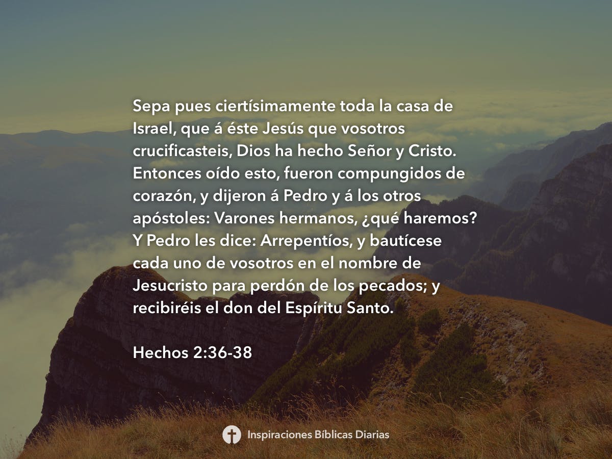 Hechos 2:36-38 - Inspiraciones Bíblicas Diarias