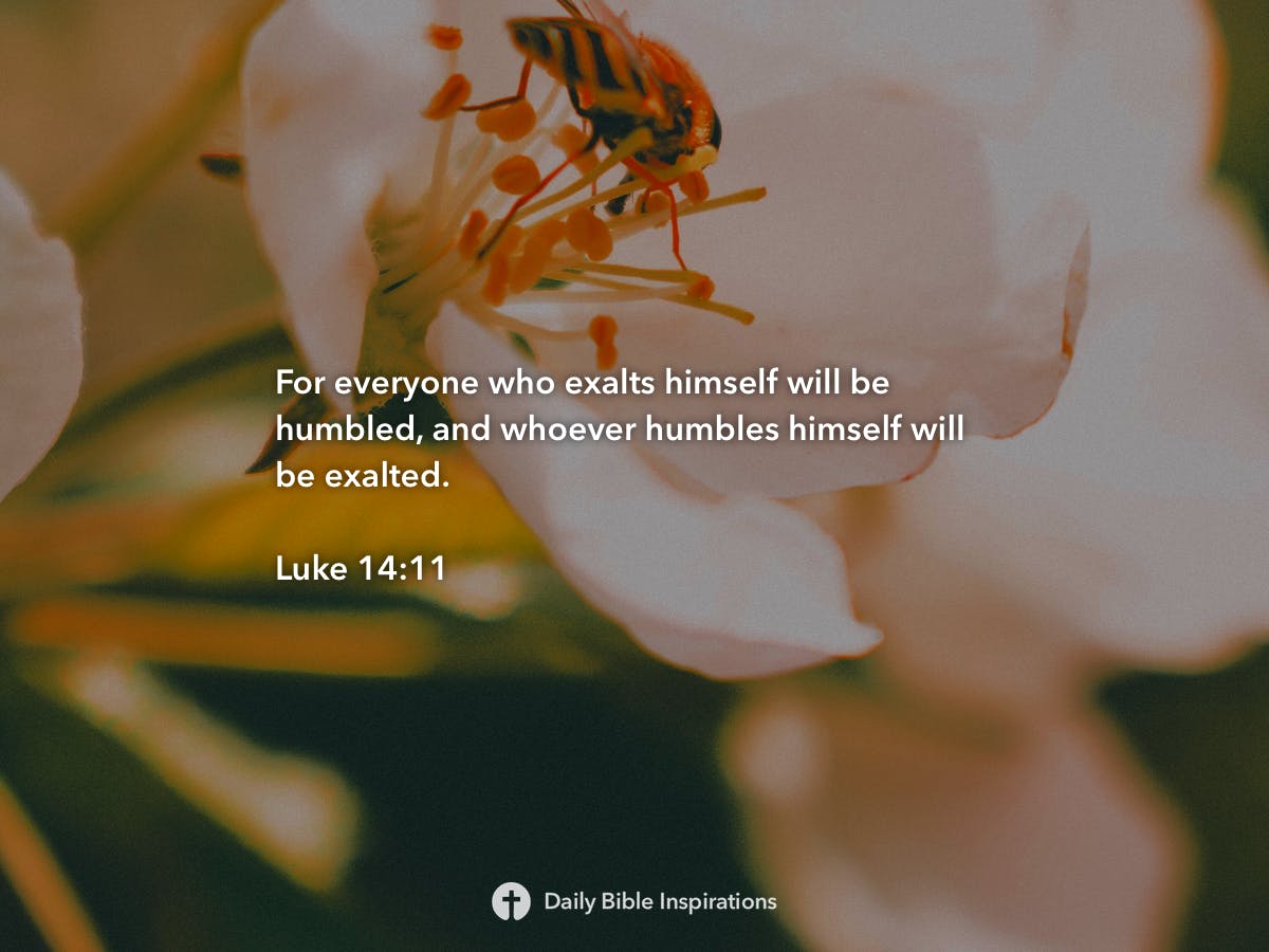 Luke 14:11 | Daily Bible Inspirations