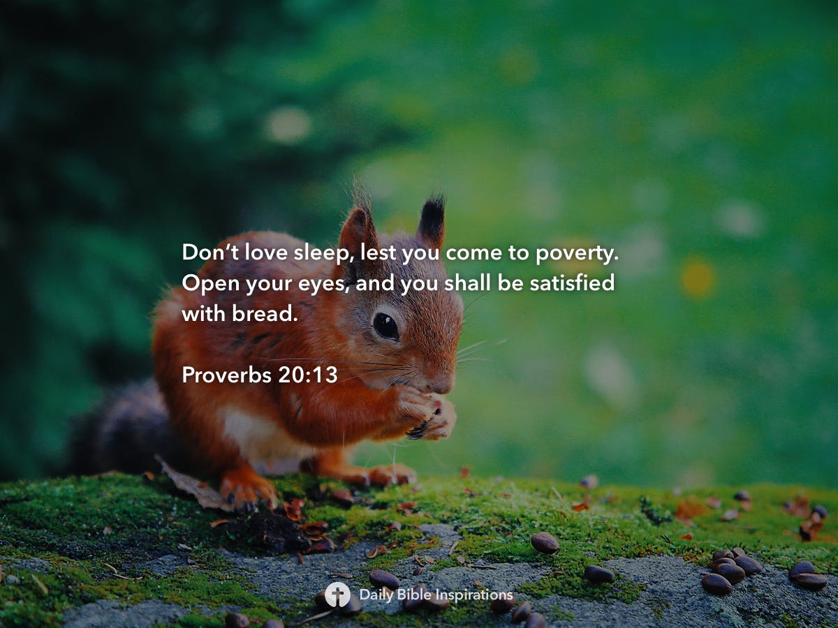 Proverbs 20:13 - Daily Bible Inspirations