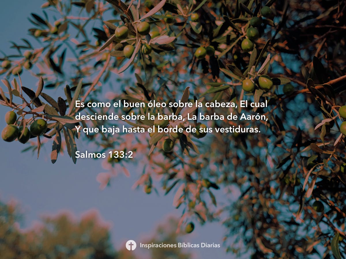 Salmos 133:2 - Inspiraciones Bíblicas Diarias