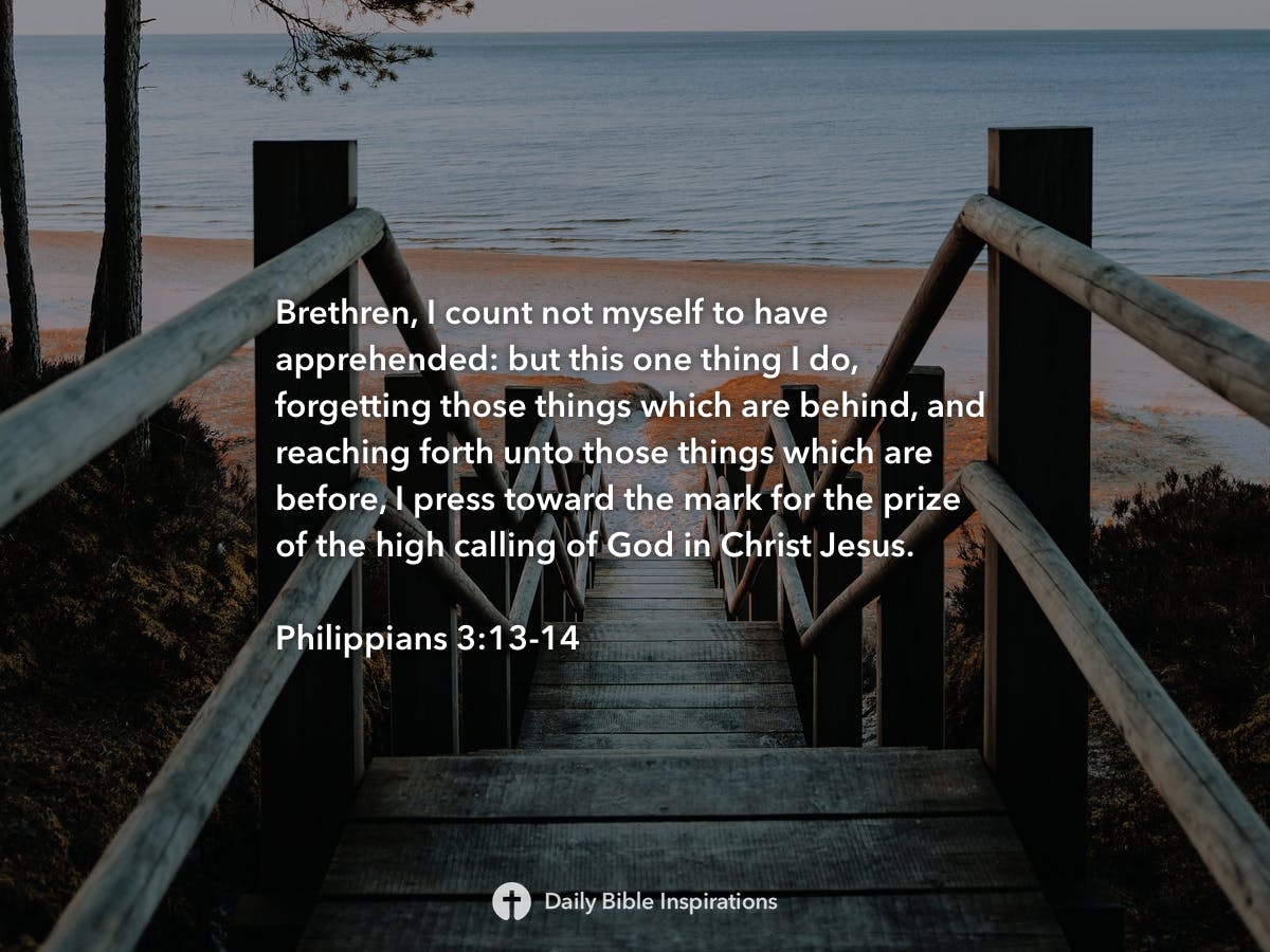 Philippians 3:13-14 - Daily Bible Inspirations