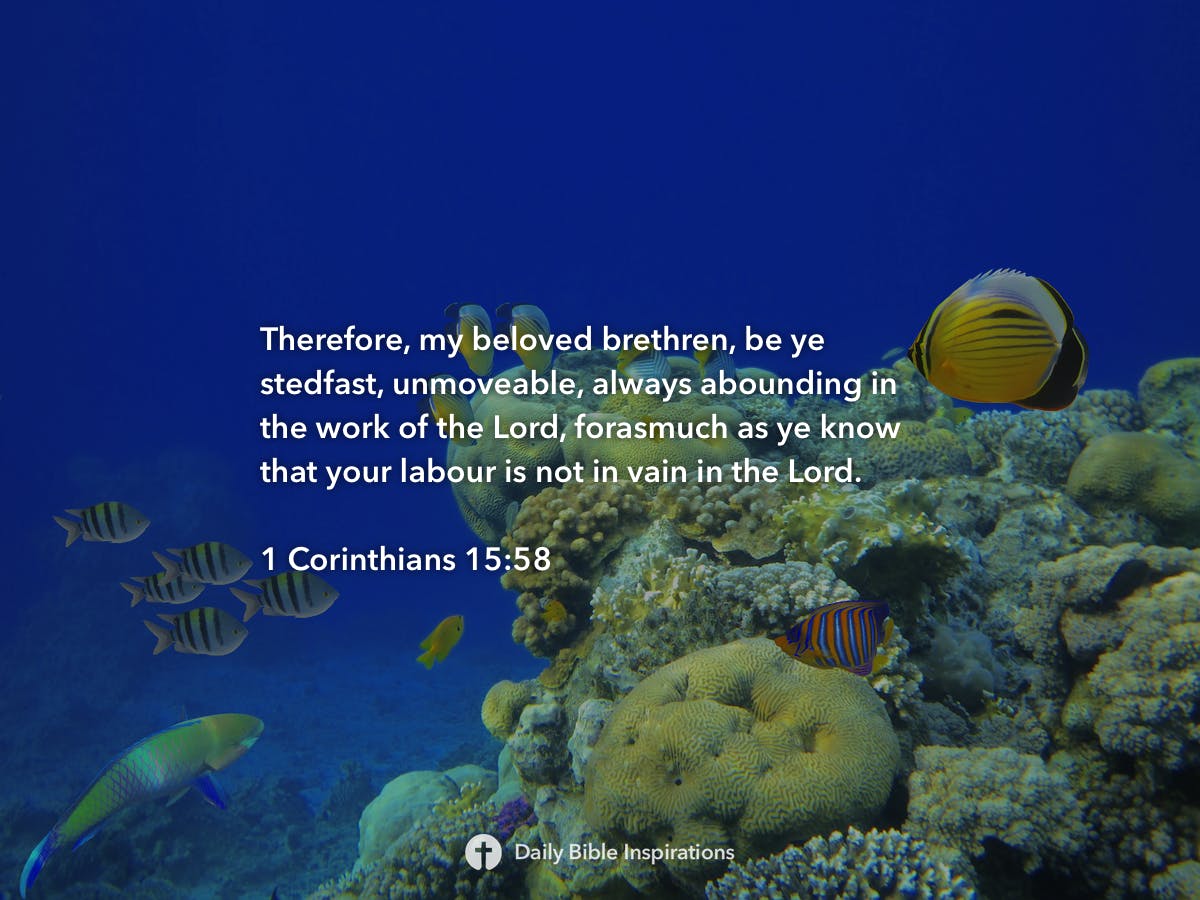 1 Corinthians 15:58 | Daily Bible Inspirations