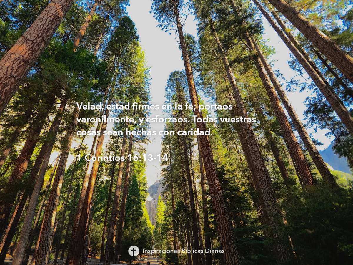 1 Corintios 16:13-14 - Inspiraciones Bíblicas Diarias
