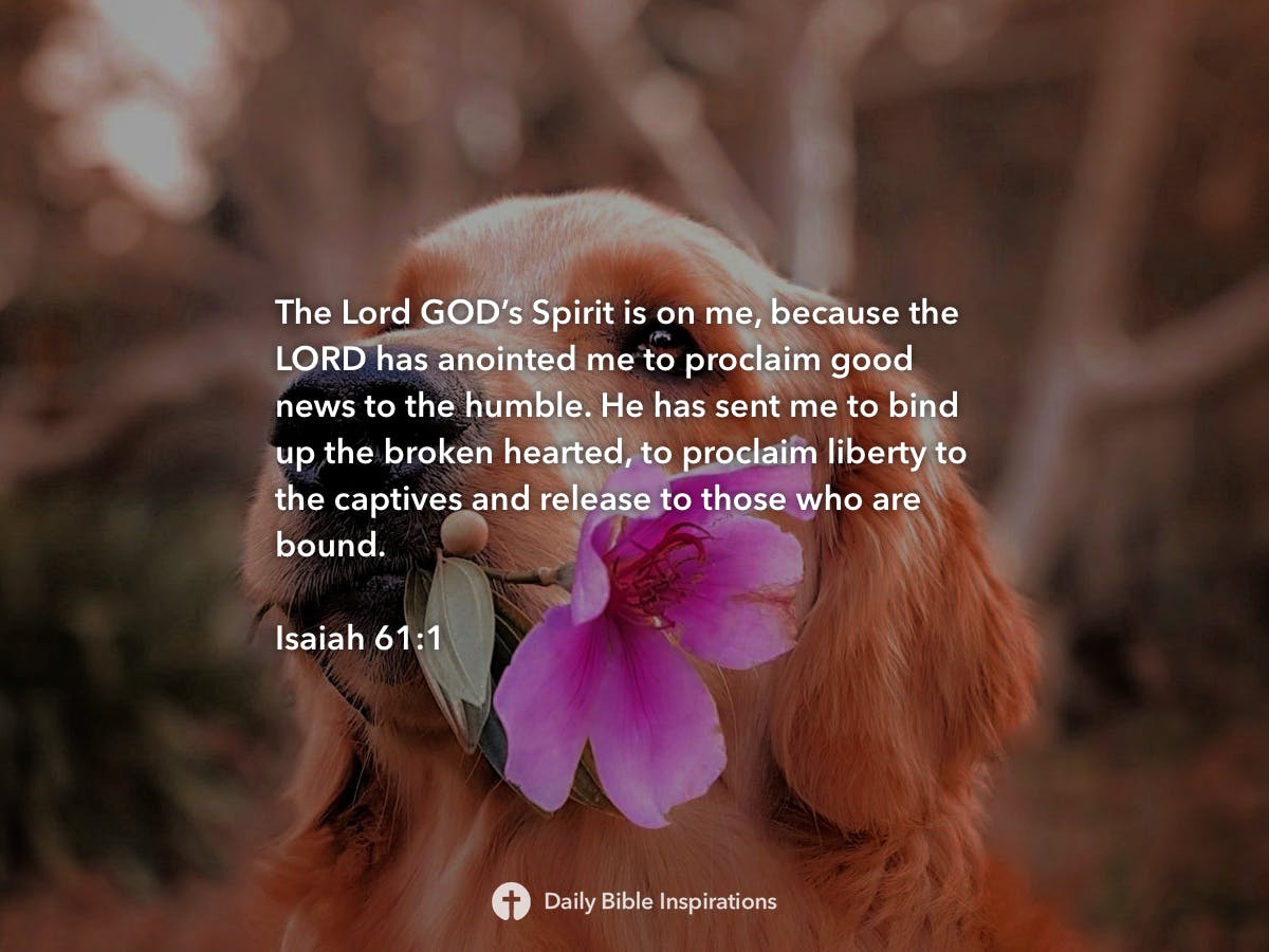 Isaiah 61:1 - Daily Bible Inspirations