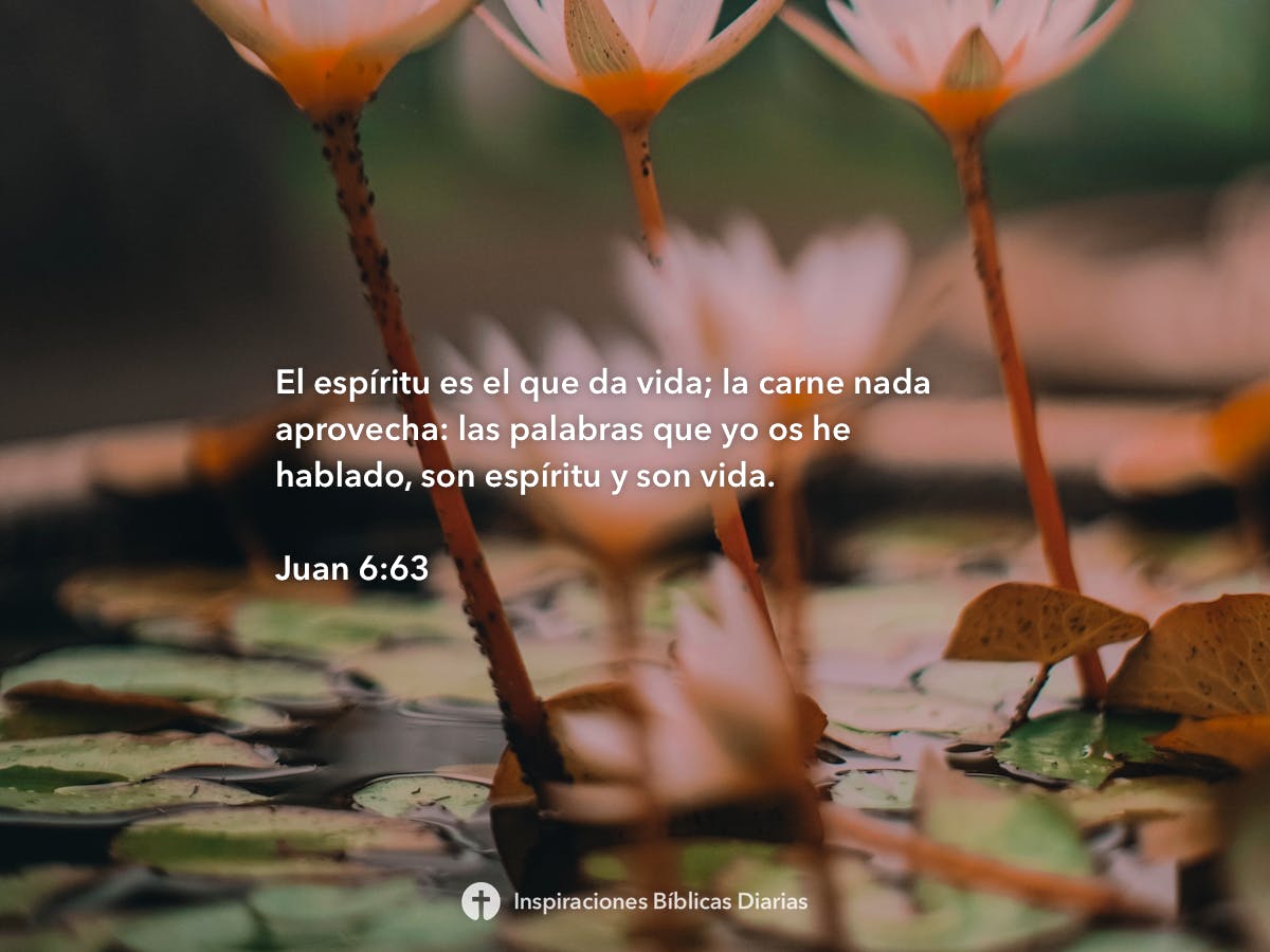 Juan 6:63 - Inspiraciones Bíblicas Diarias