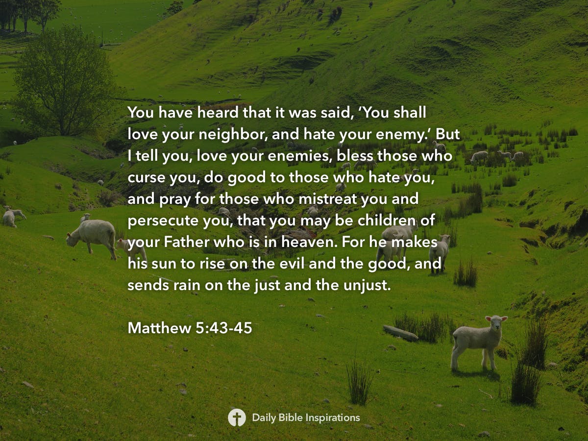 Matthew 5 43 45 Daily Bible Inspirations