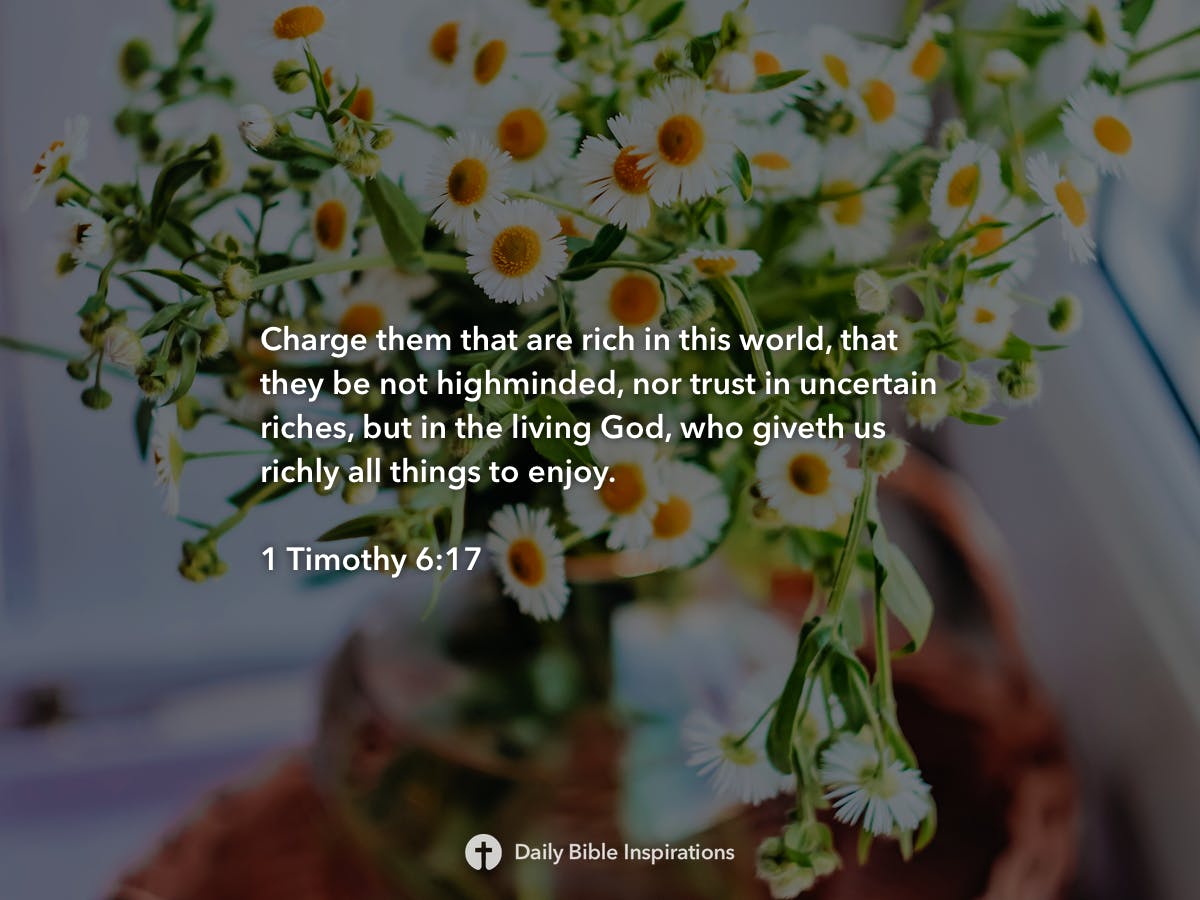 1 Timothy 6:17 - Daily Bible Inspirations