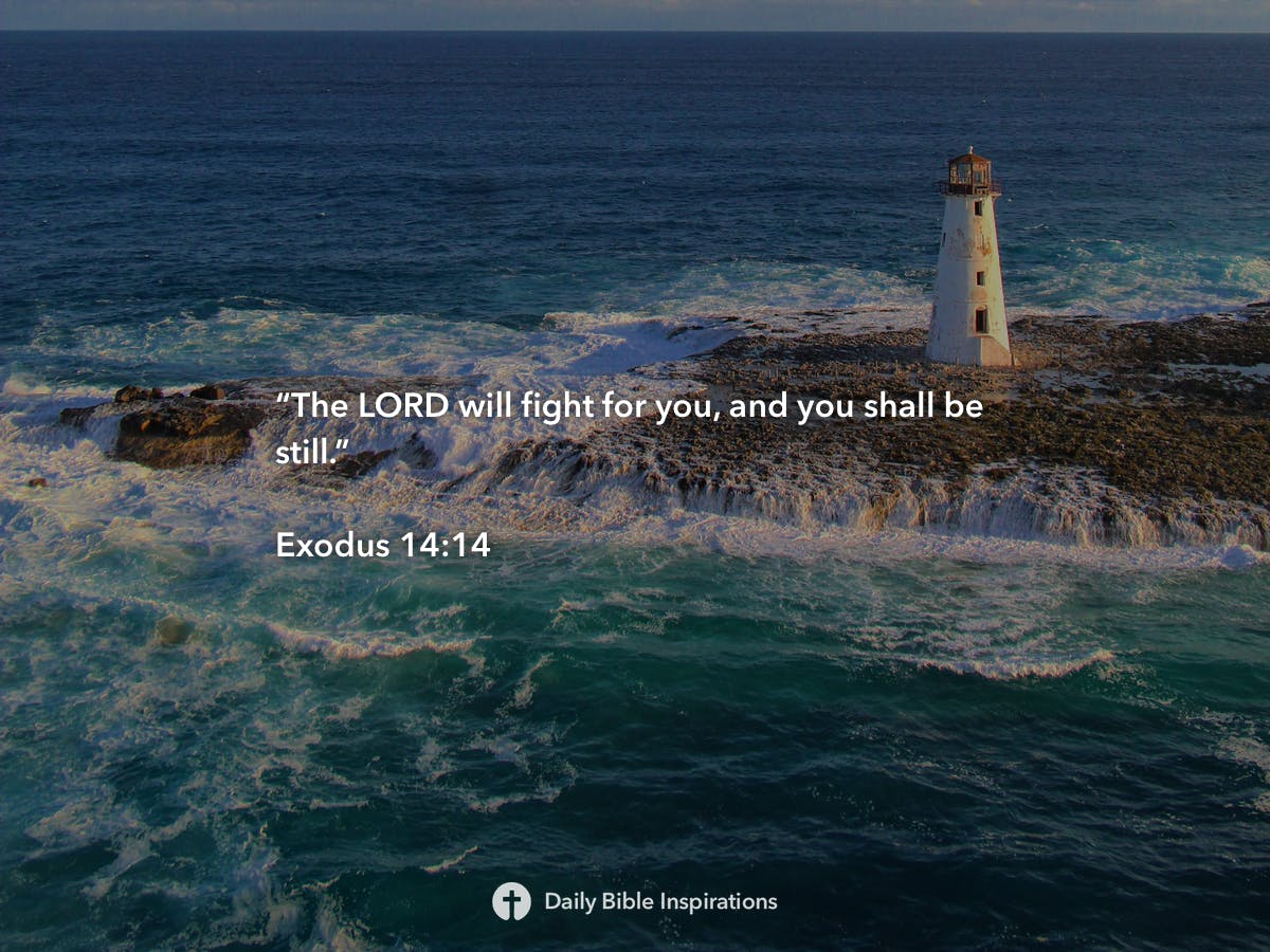 Exodus 14:14 - Daily Bible Inspirations