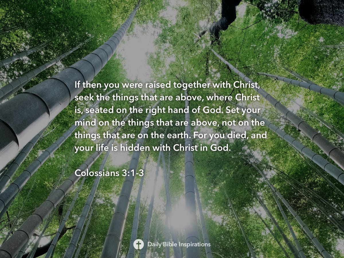 Colossians 3:1-3 | Daily Bible Inspirations