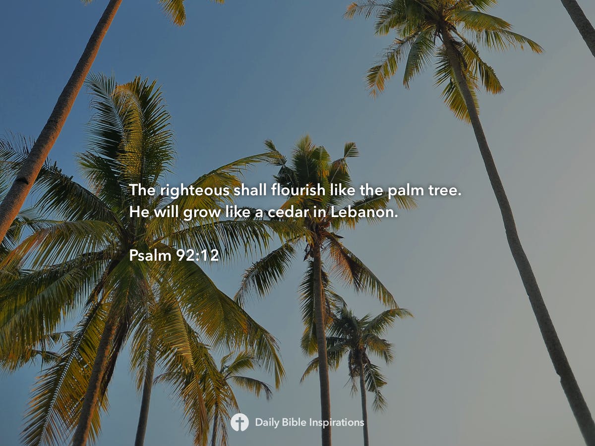 Psalm 92:12 | Daily Bible Inspirations