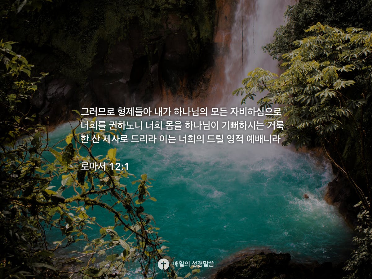 로마서 12 1 Daily Bible Inspirations