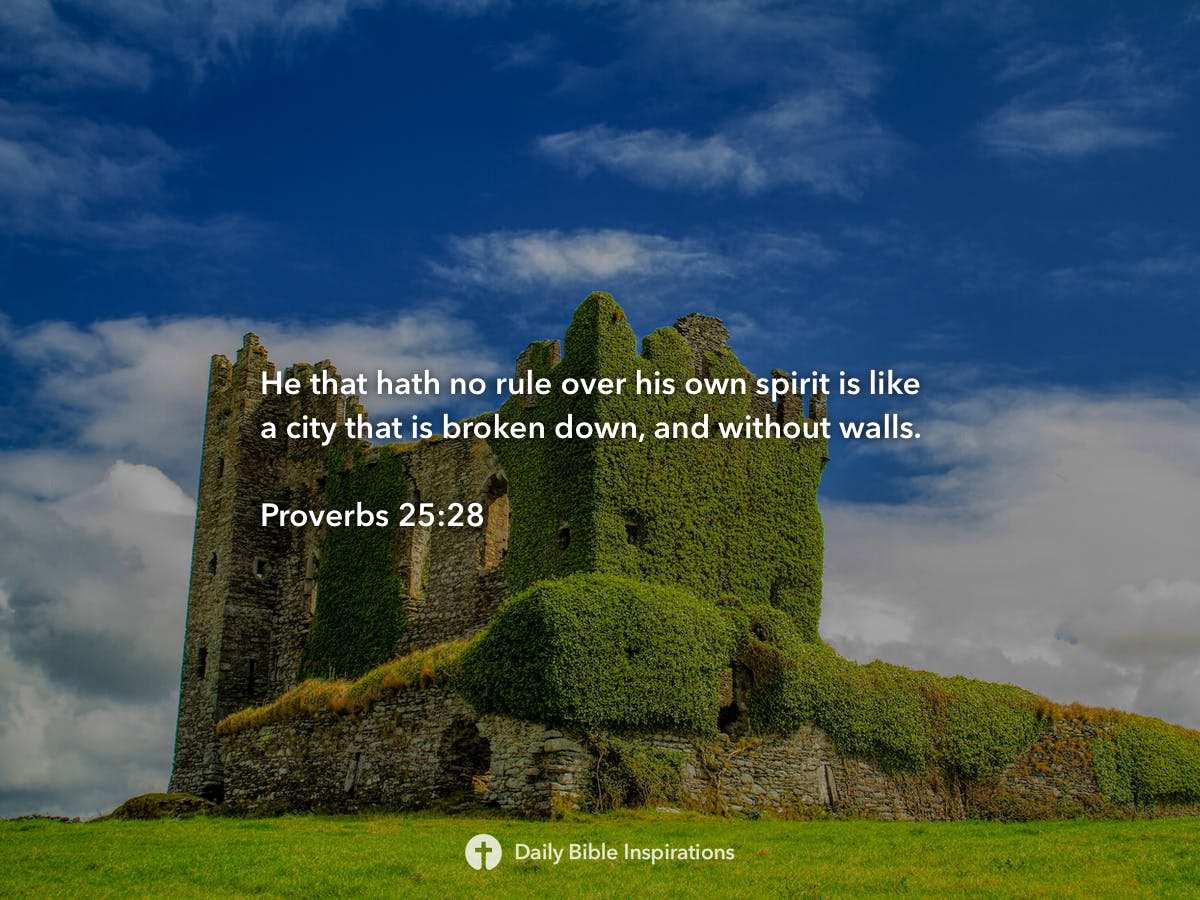 Proverbs 25:28 - Daily Bible Inspirations