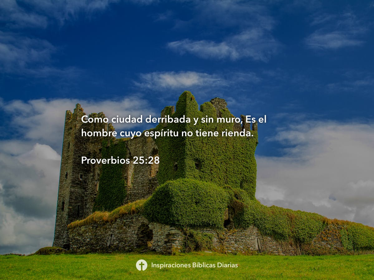 Proverbios 25:28 - Inspiraciones Bíblicas Diarias