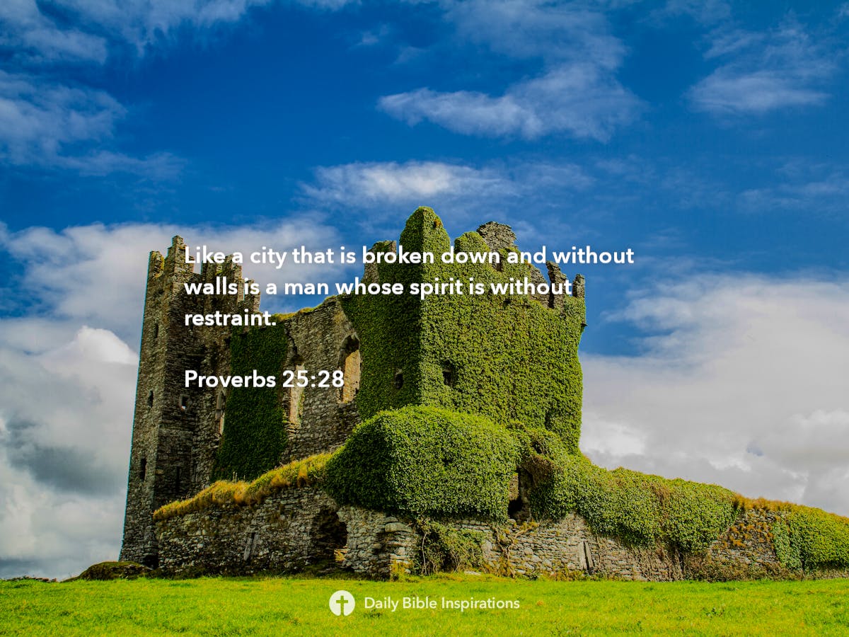 Proverbs 25:28 - Bible Inspirations