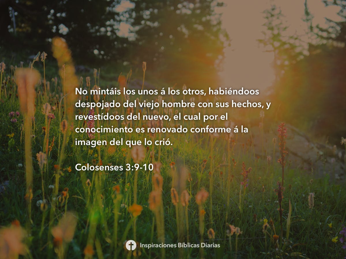 Colosenses 3:9-10 | Inspiraciones Bíblicas Diarias