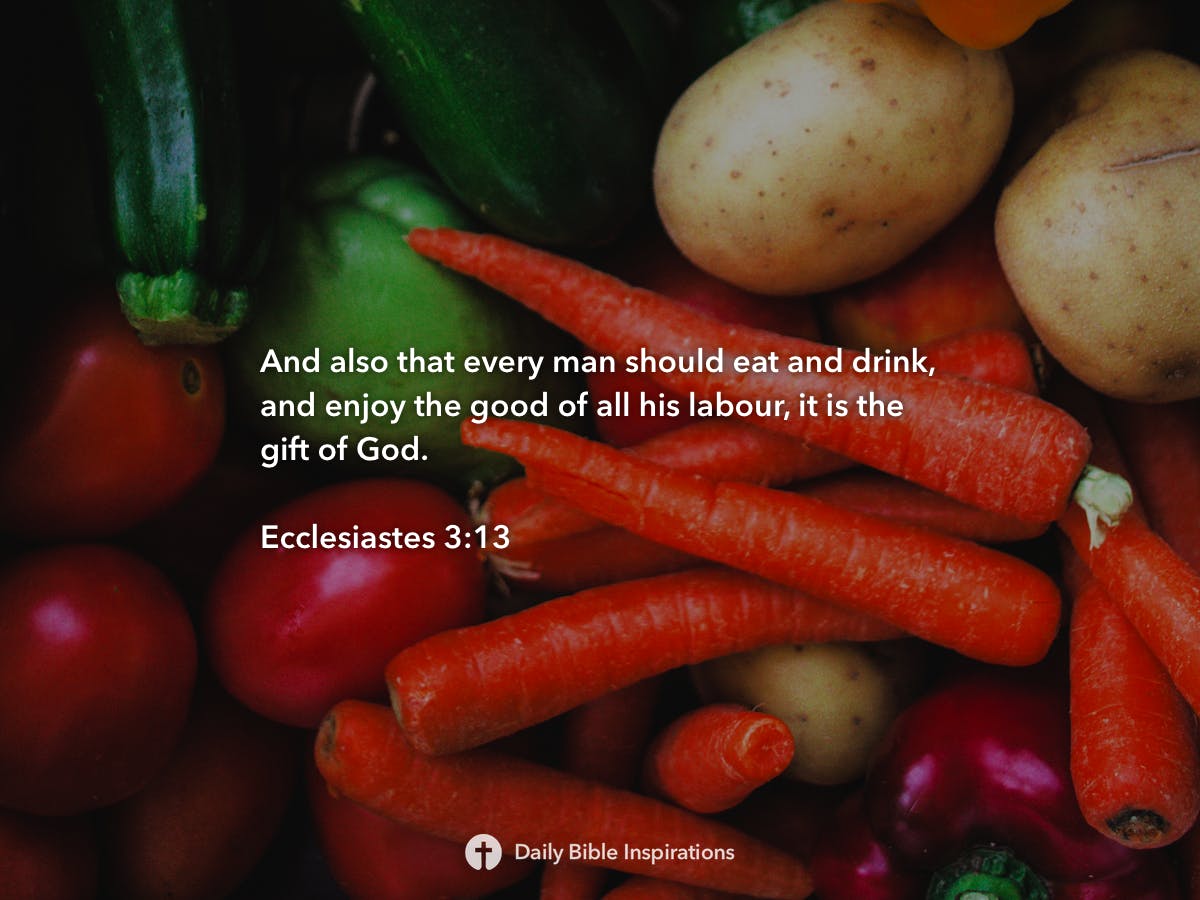 Ecclesiastes 3:13 - Daily Bible Inspirations