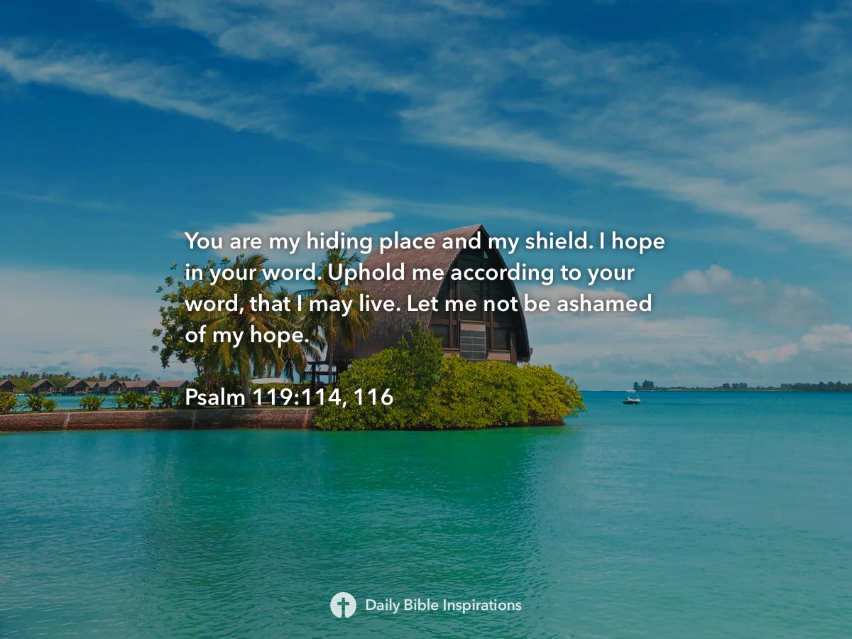 Psalm 119:114, 116 - Daily Bible Inspirations