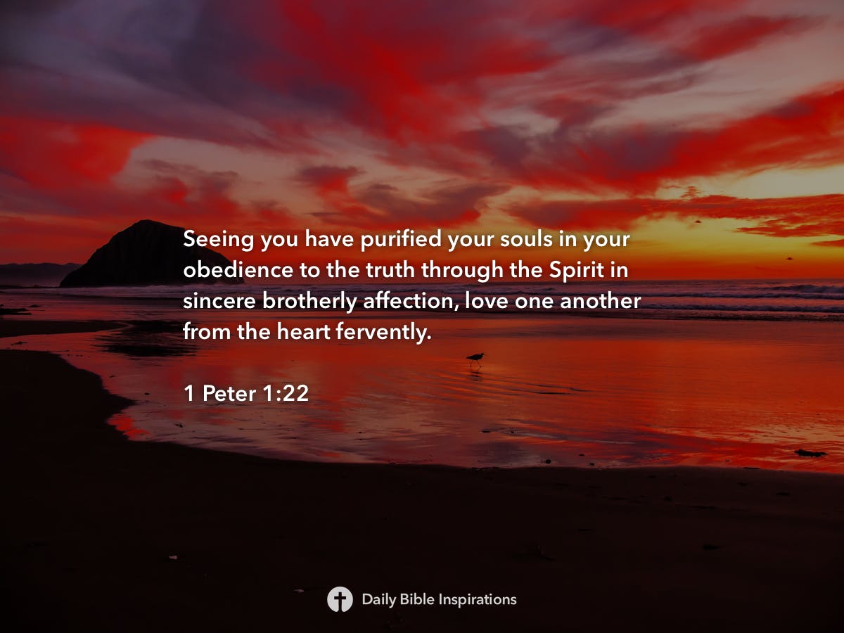 1 Peter 1:22 | Daily Bible Inspirations