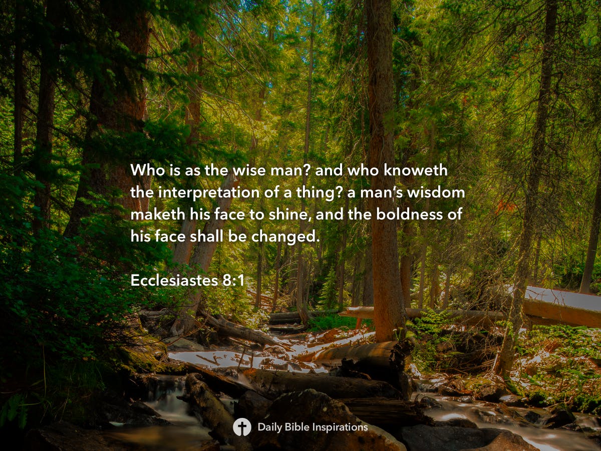 Ecclesiastes 8:1 - Daily Bible Inspirations