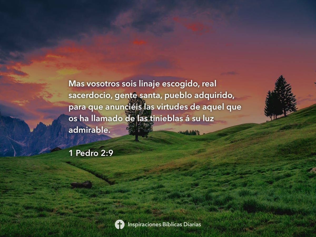 1-pedro-2-9-inspiraciones-b-blicas-diarias