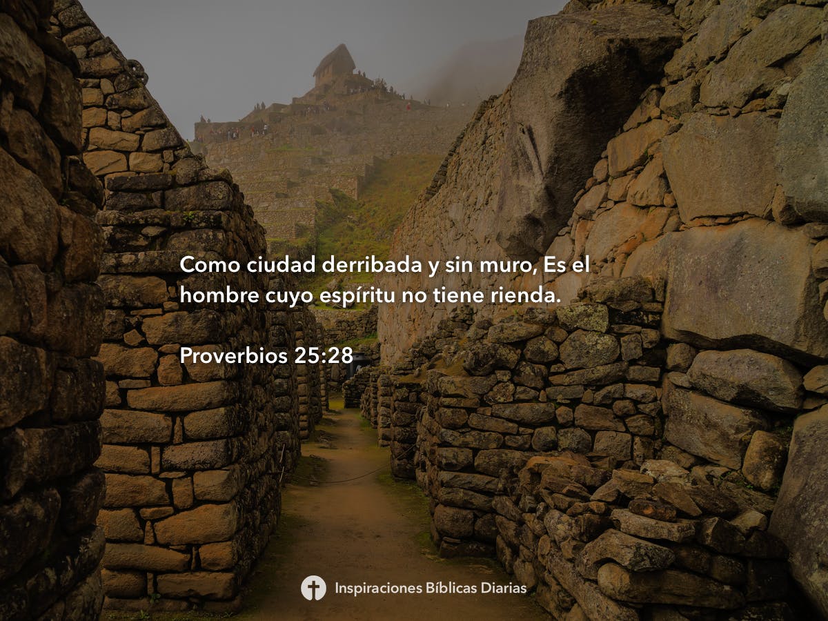 Proverbios 25:28 - Inspiraciones Bíblicas Diarias
