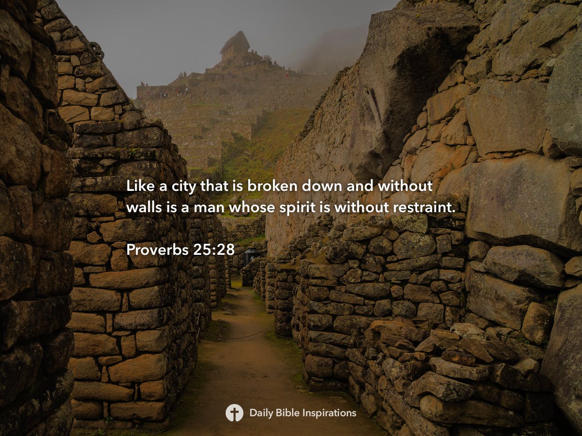 Proverbs 25:28 - Daily Bible Inspirations