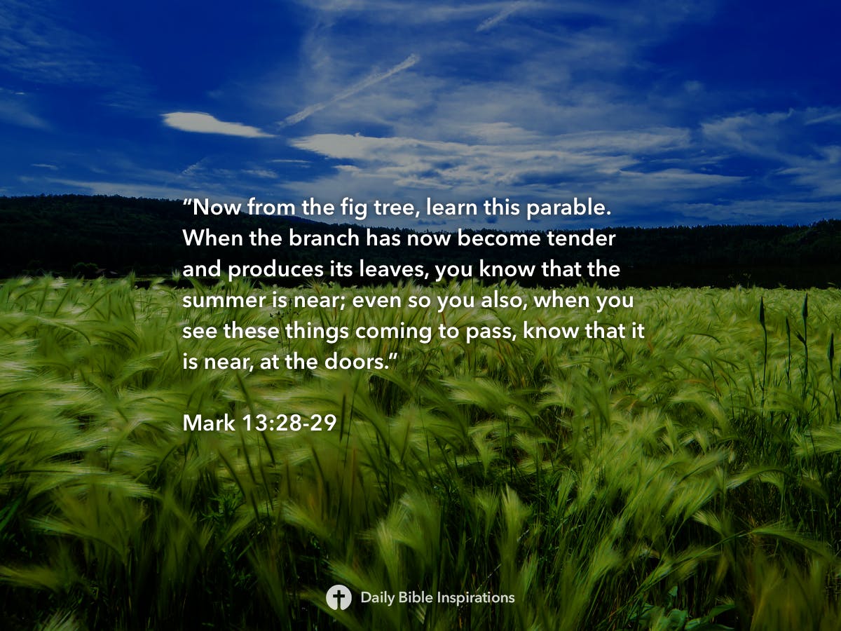 Mark 13:28-29 | Daily Bible Inspirations