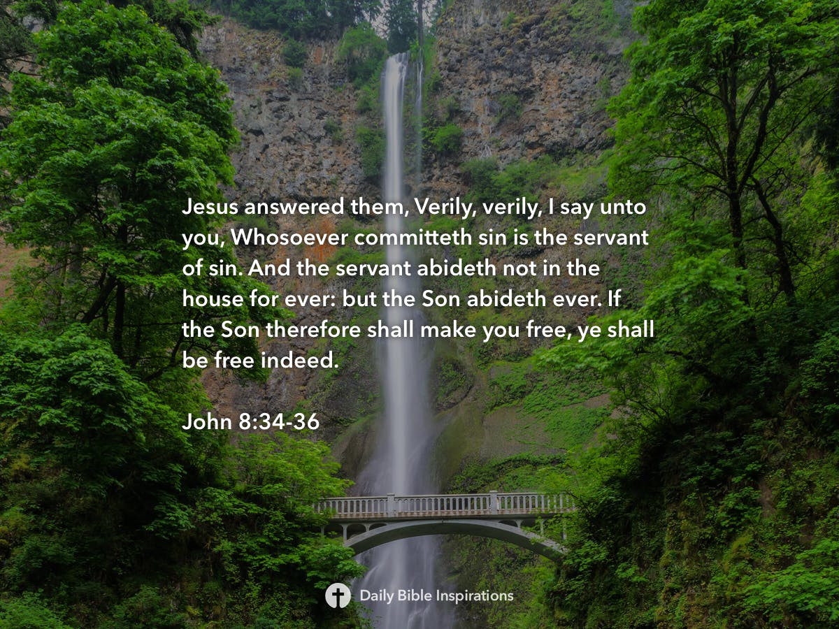 John 8:34-36 - Daily Bible Inspirations