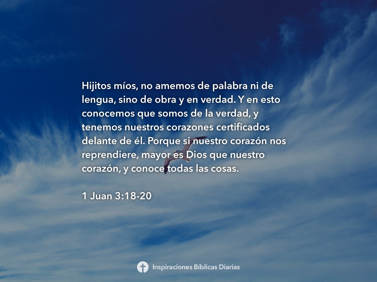 1 Juan 3:18-20 | Inspiraciones Bíblicas Diarias