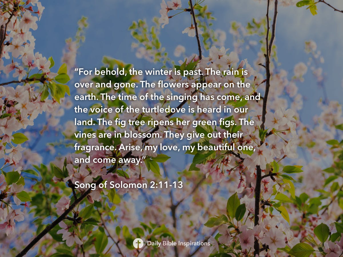 Song of Solomon 2:11-13 - Daily Bible Inspirations