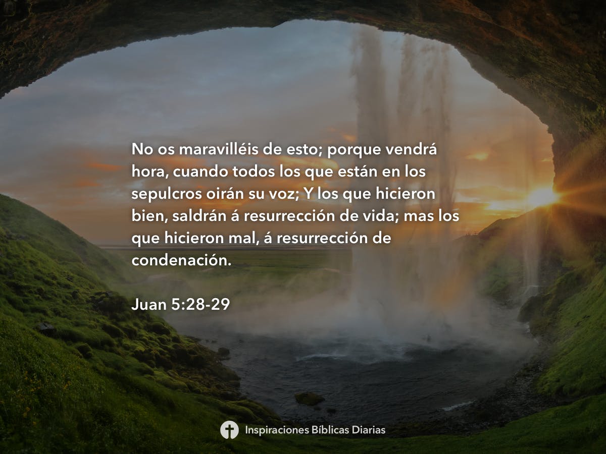 juan-5-28-29-inspiraciones-b-blicas-diarias