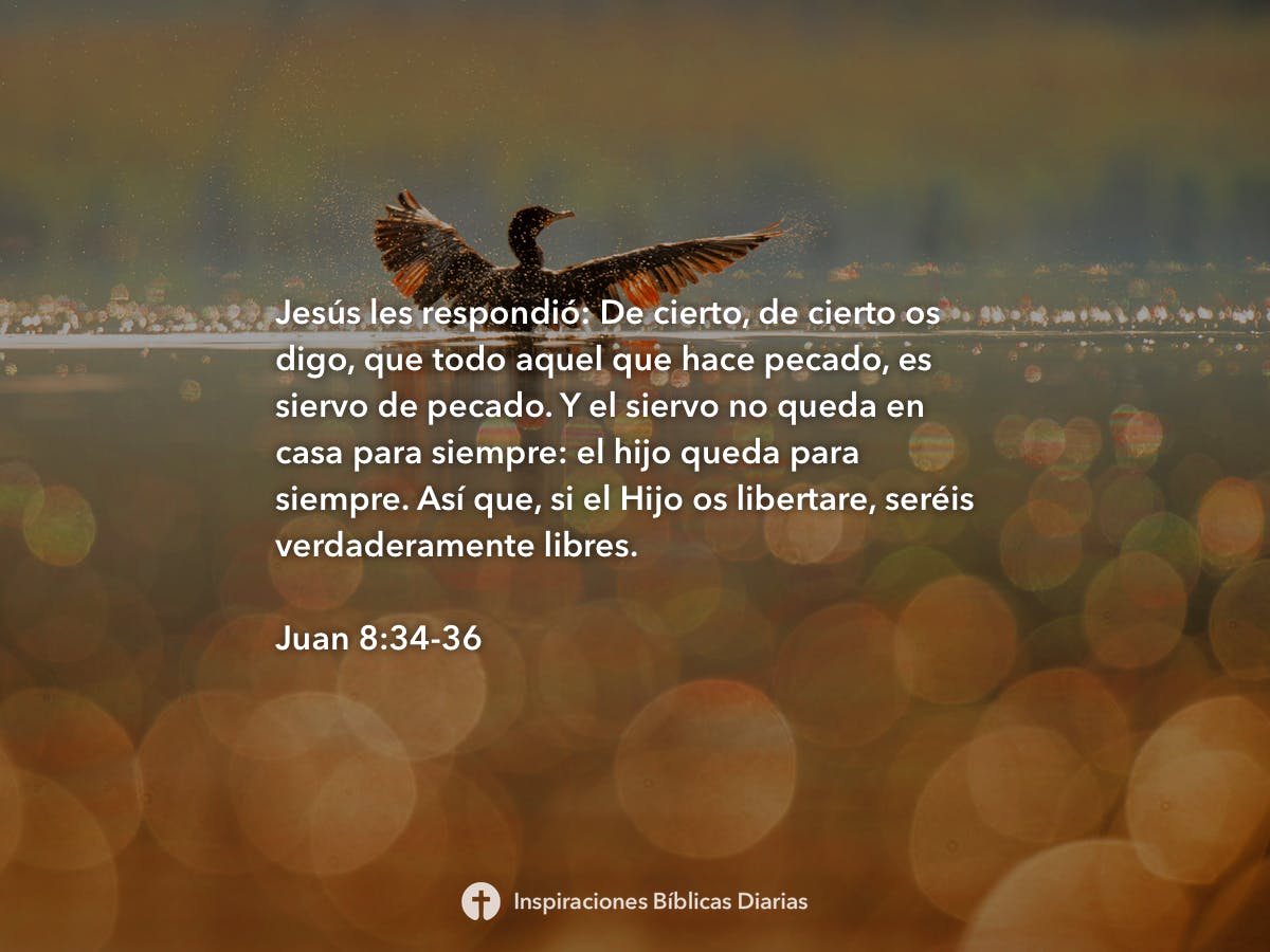 Juan 8:34-36 - Inspiraciones Bíblicas Diarias
