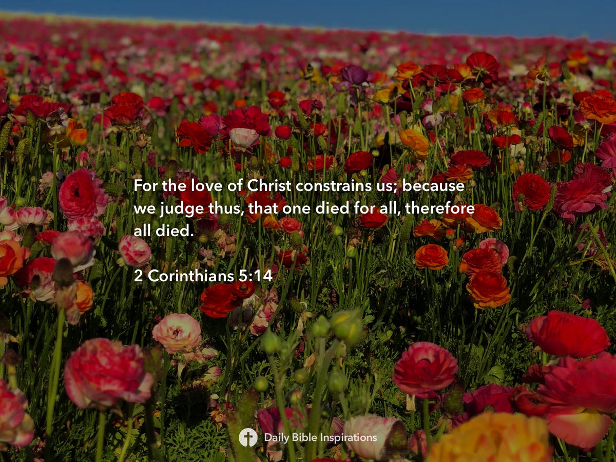2 Corinthians 5:14 - Daily Bible Inspirations