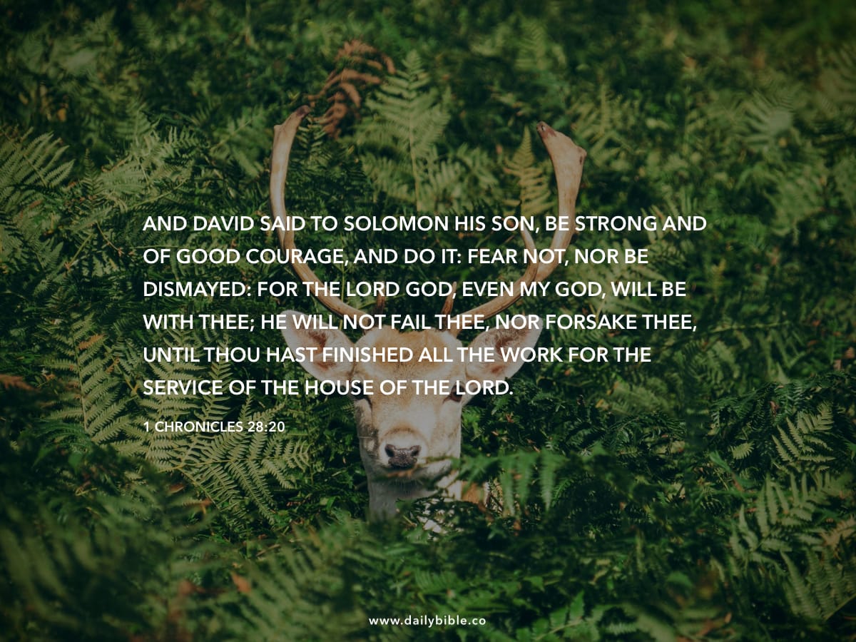 1 Chronicles 28:20 - Daily Bible Inspirations