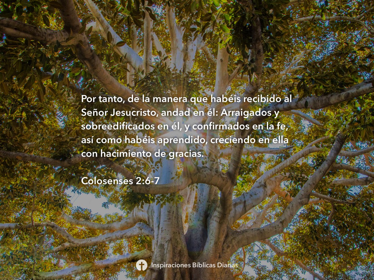 Colosenses 2:6-7 | Inspiraciones Bíblicas Diarias