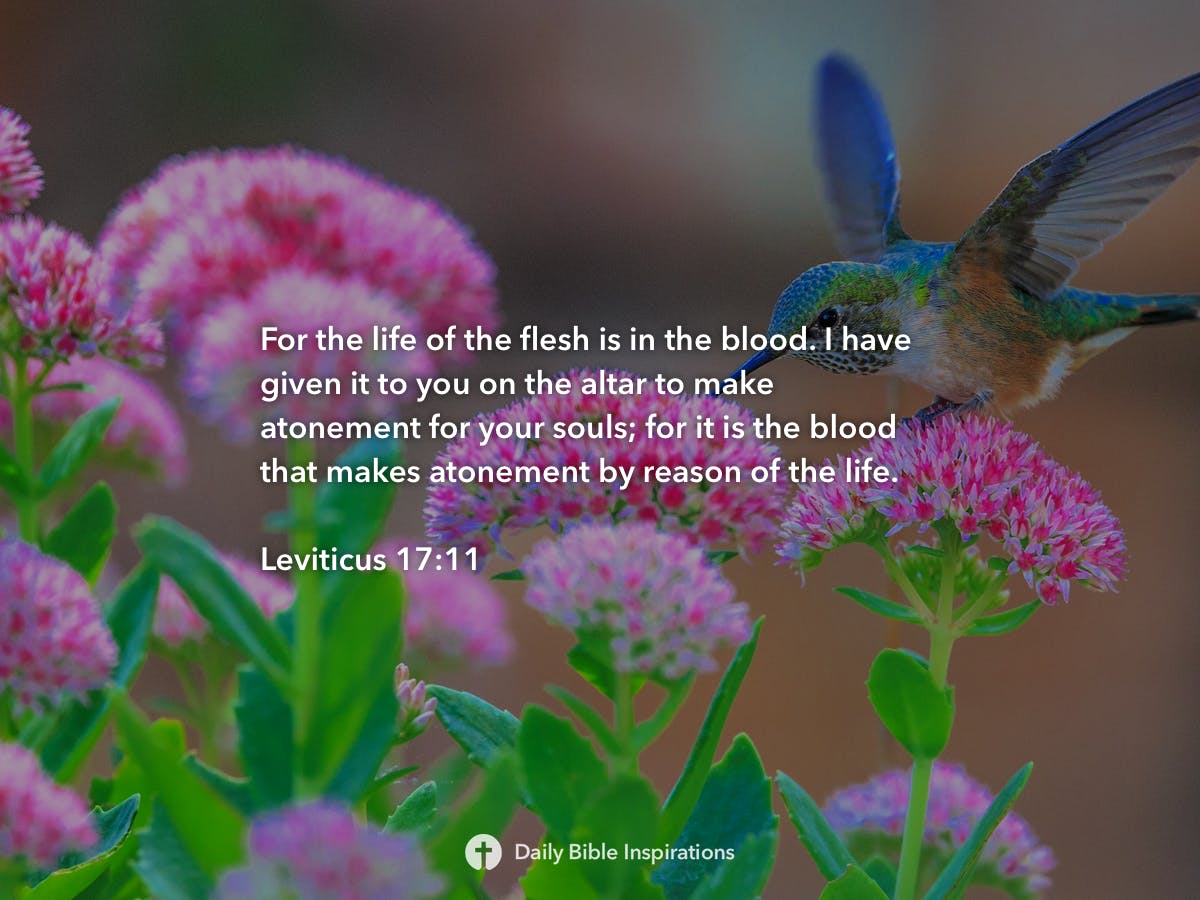 Leviticus 17:11 - Daily Bible Inspirations