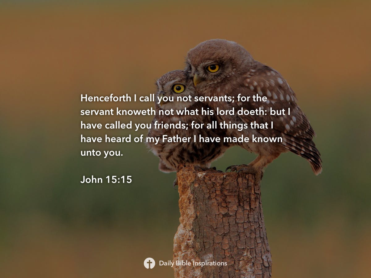 John 15:15 - Daily Bible Inspirations