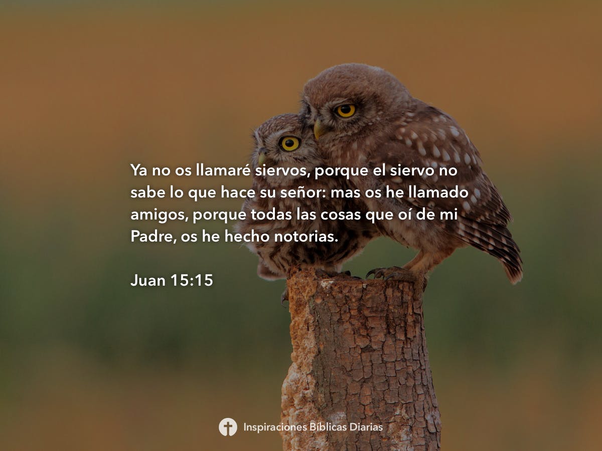 Juan 15:15 - Inspiraciones Bíblicas Diarias