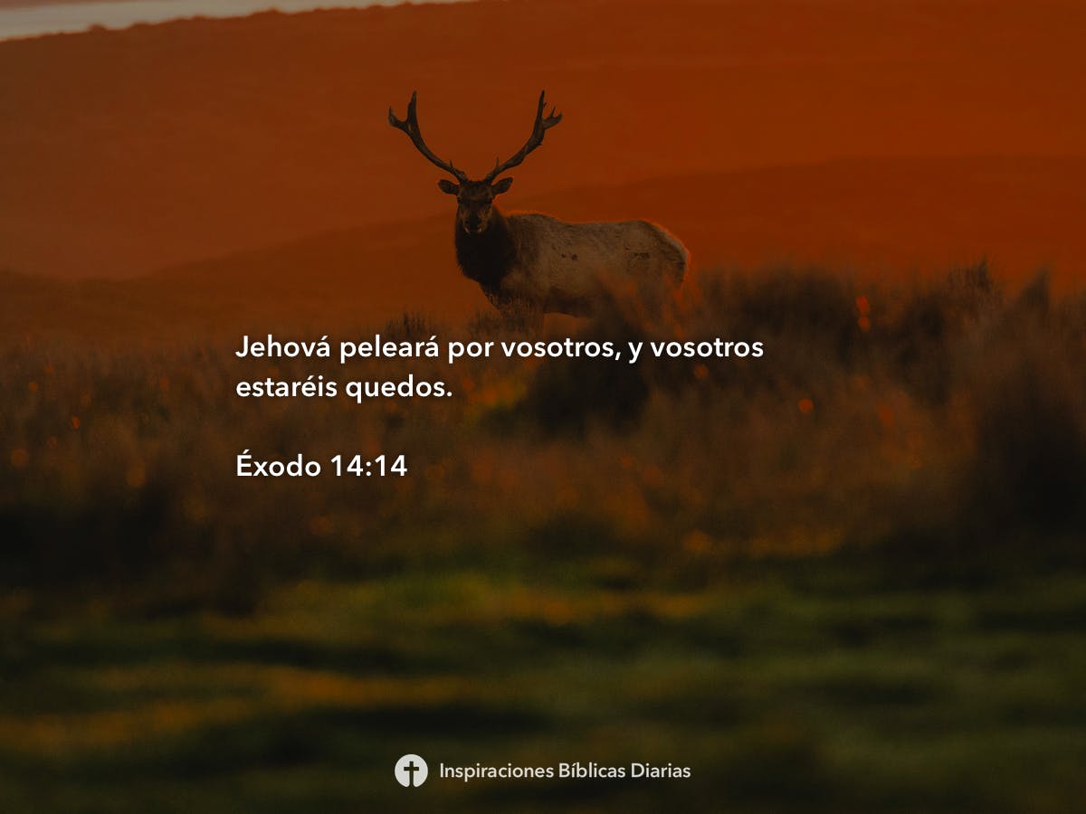 Éxodo 14:14 - Inspiraciones Bíblicas Diarias