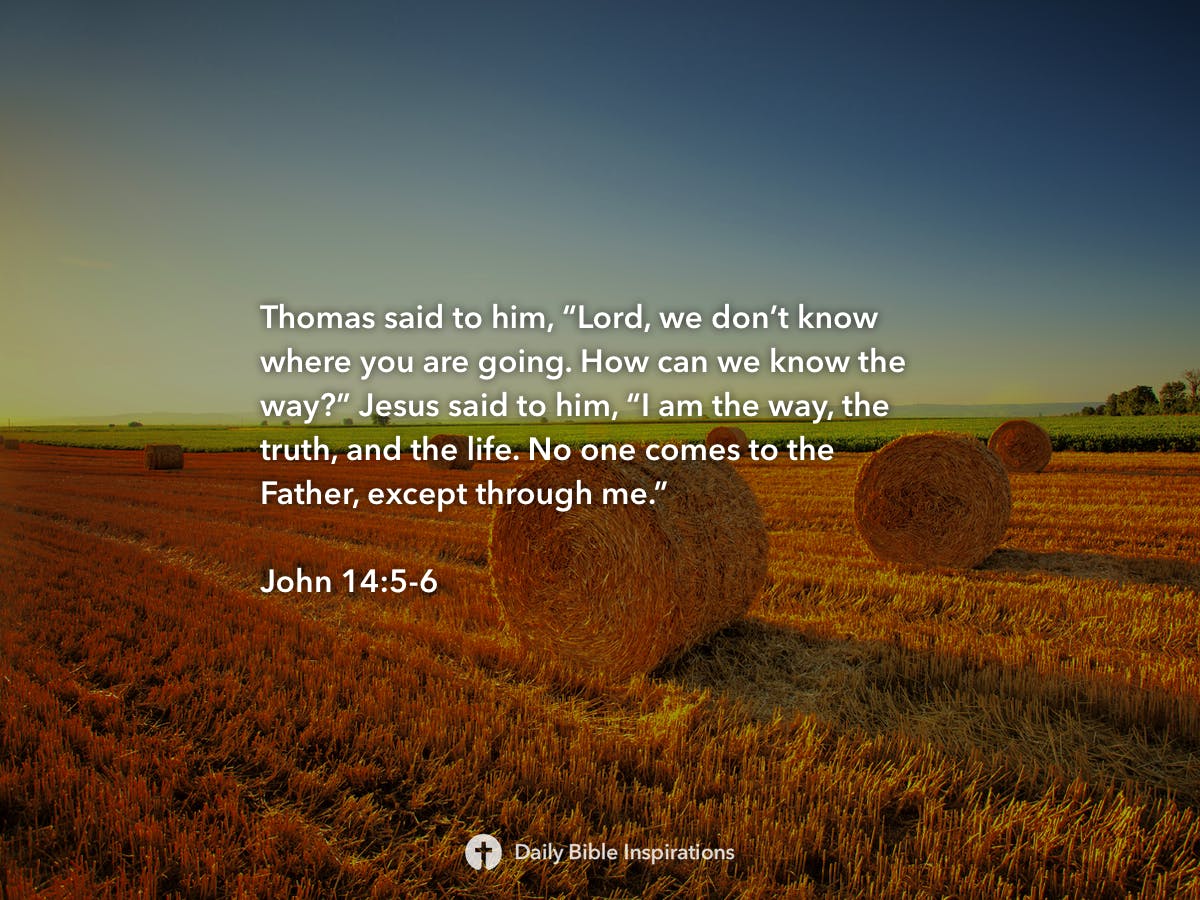 john-14-5-6-daily-bible-inspirations