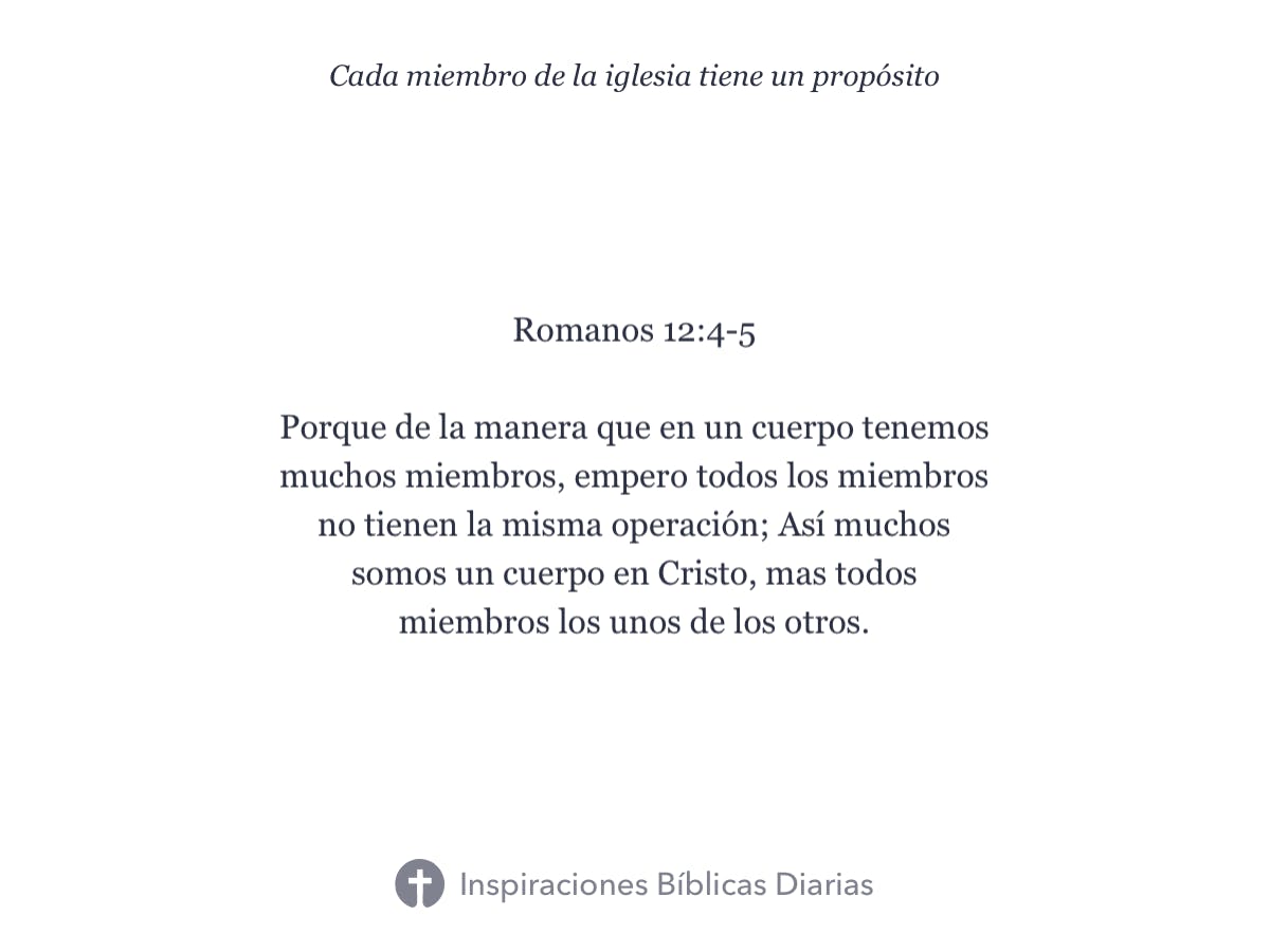 Romanos 12:4-5 - Inspiraciones Bíblicas Diarias