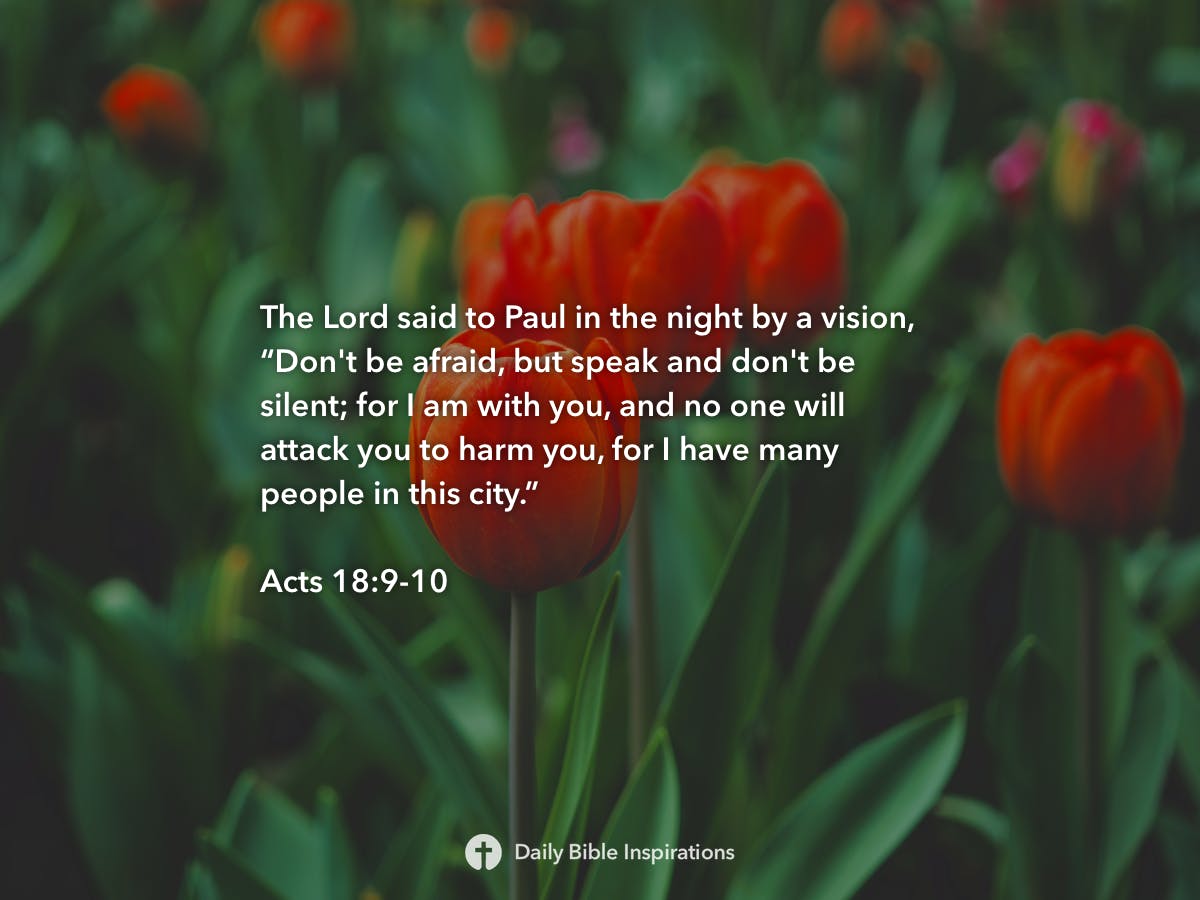Acts 18 9 10 Daily Bible Inspirations