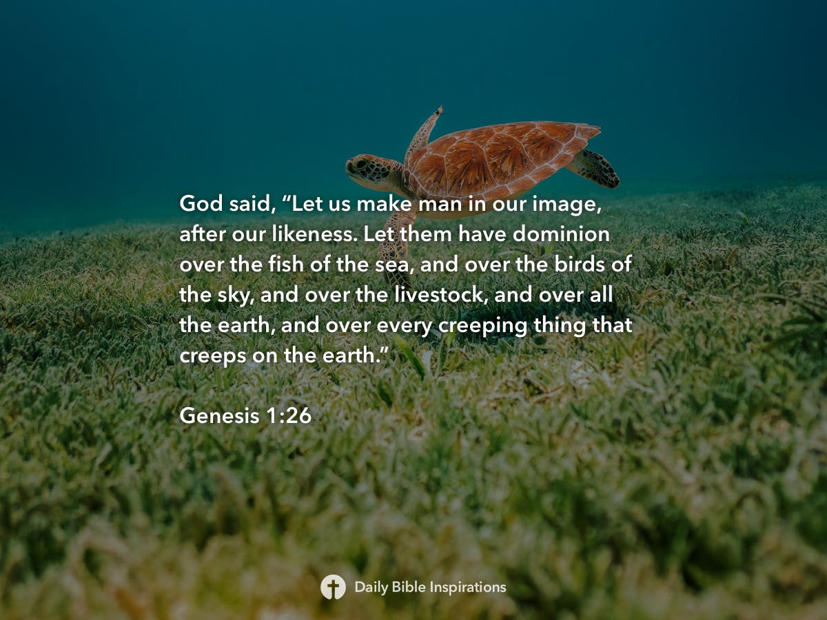 Genesis 1:26 | Daily Bible Inspirations