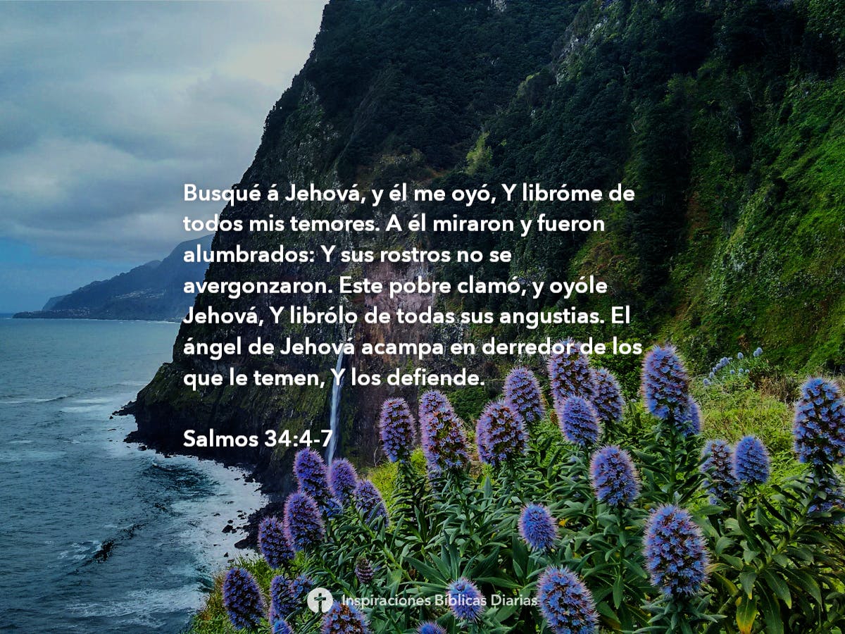 Salmos 34:4-7 - Inspiraciones Bíblicas Diarias